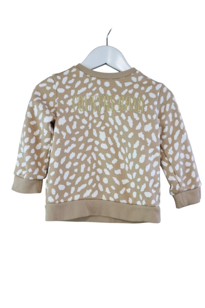 Country Road Jumper, 1 – Use-Ta!